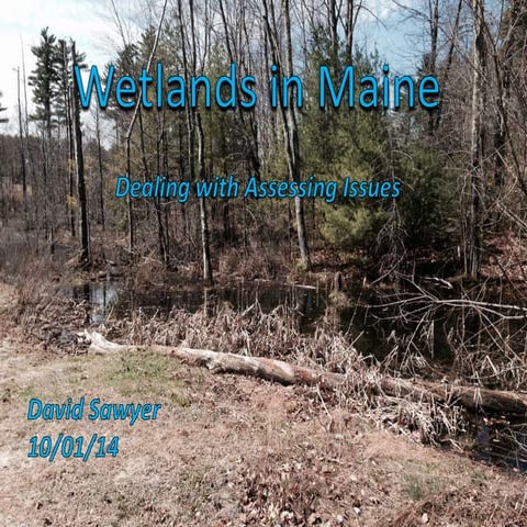 Wetlands in Maine | PPTX