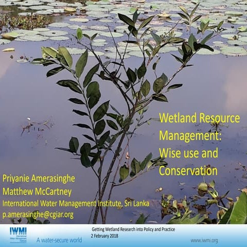 Wetland Resource Management: Wise Use and Conservation | PDF