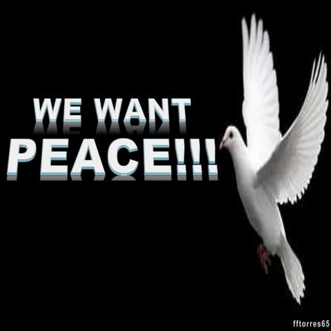 We want peace | PPT