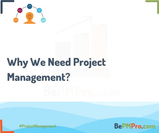 What is project risk presentation | PPT