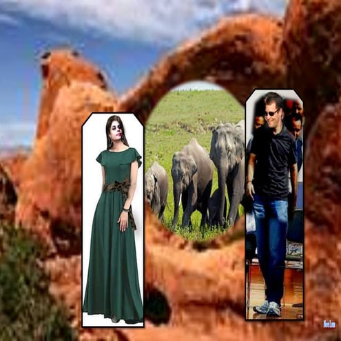 We with wild life in national park | DOCX