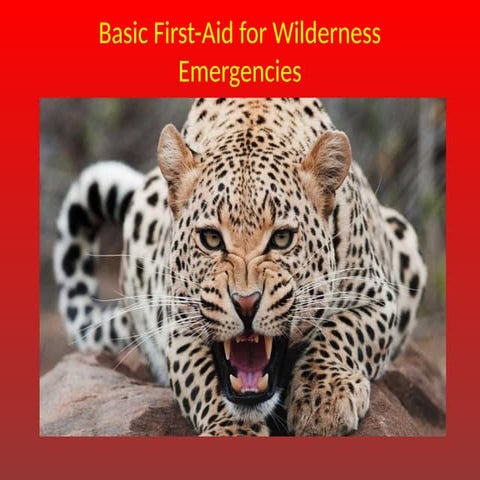 WFA_Basics in emergencies CPR and first aid.pptx