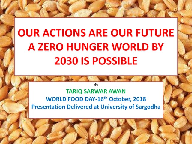Sustainable Development Goals - zero hunger | PPTX