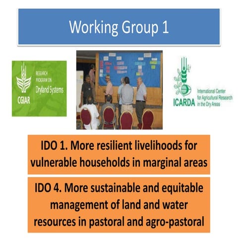 WORKING GROUP 1 | PPTX