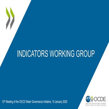 Indicators Working Group | PPT