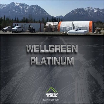 Wg ppt conference presentation version | PPT