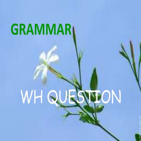 WH-WORDS-MEANINGS.ppt