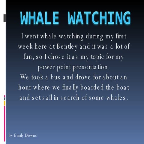 Whale Watching | PPT