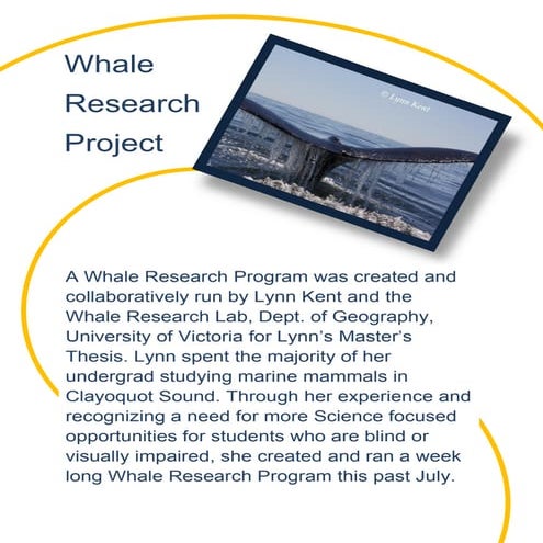 Whale%20 research%20project%202010 | PDF