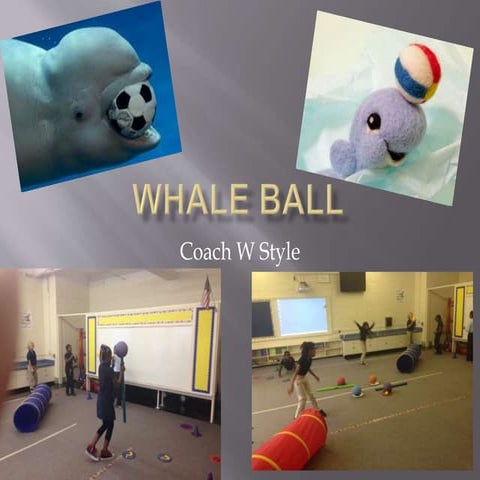Whale ball | PPT
