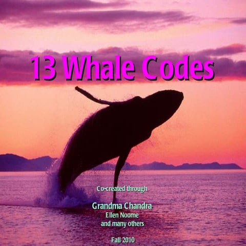 Whale Code Mandalas 2010 | PPT