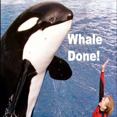 Whale Done-The Power of Positive Relationships | PPT