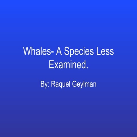 Whales | PPT