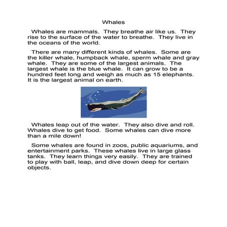 Whales | DOCX