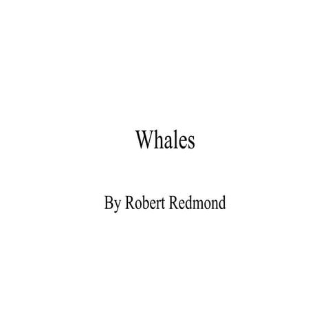 Whales | PPT