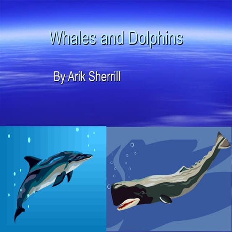 Whales and dolphins | PPT