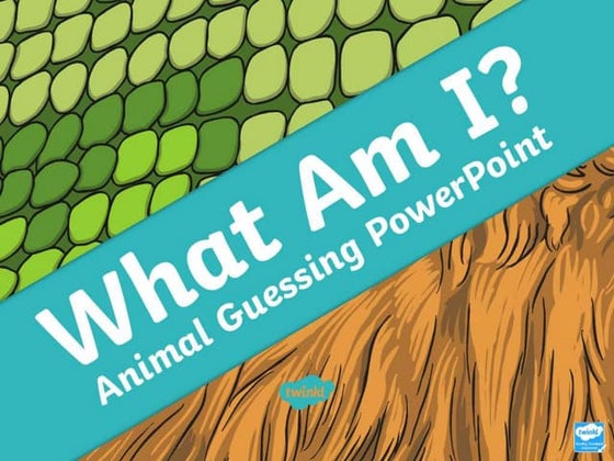 What am i jungle animal power point | PPT