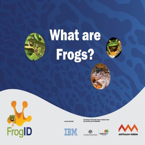 Frogs, their features and amphibious evolution | PPTX
