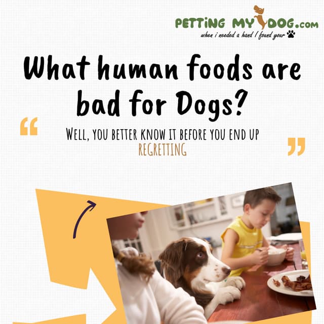 What Human Foods Are Bad For Dogs