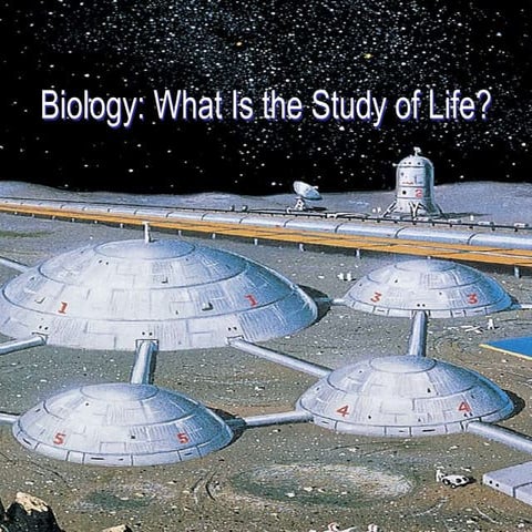 what is life ppt_ch01 | PPT | Biological Sciences | Science