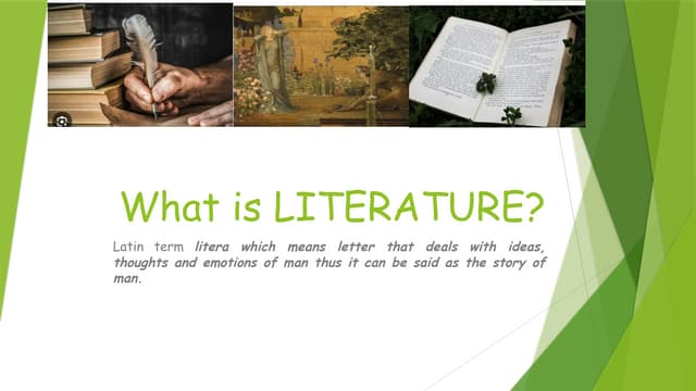 Functions of literature | PPTX