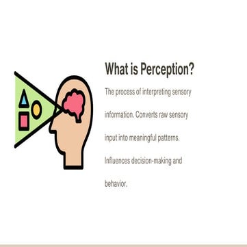 this is about perception principles more | PDF