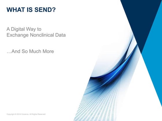 Low Cost MedDRA Coding | PPT