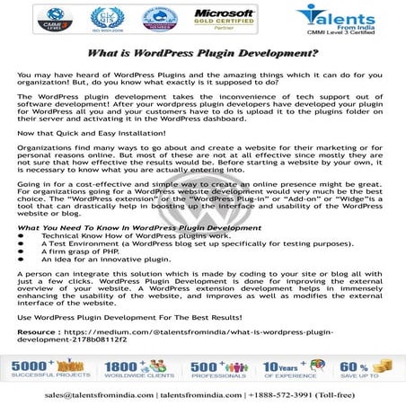 The-Power-of-Plugins-Enhancing-WordPress-Development-Efficiency.pptx