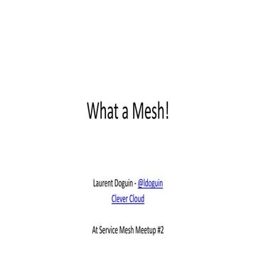 What a mesh ! | PPT