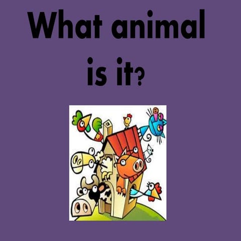 What animal is it | PPT