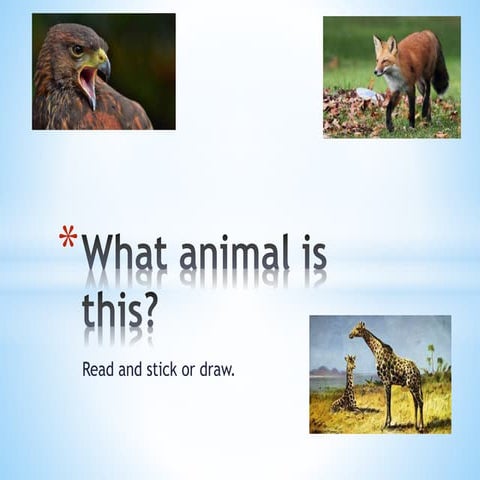 What animal is this? | PPT