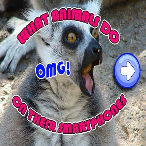 What Animals Do on Their Mobile Phones | ODP