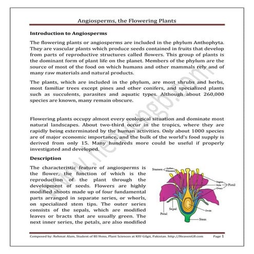 Angiosperm Definition Examples And Significance