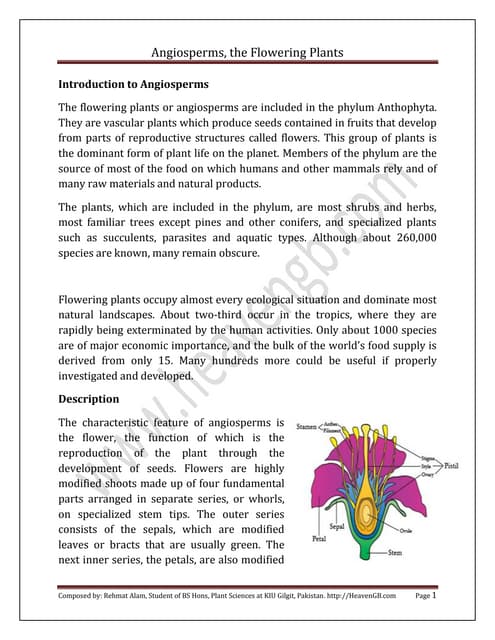 Angiosperms | PPTX