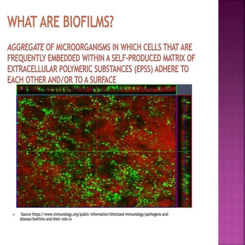 What are biofilms formation | PDF