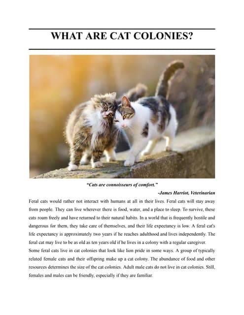 Cat facts | PDF