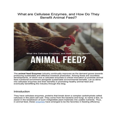 What are Cellulase Enzymes, and How Do They Benefit Animal Feed.docx