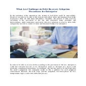What are challenges in debt recovery litigation procedures for ...