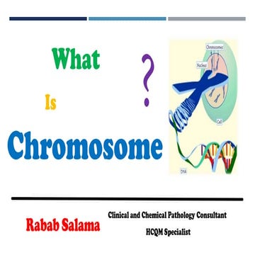 What are Chromosomes ? | PPT