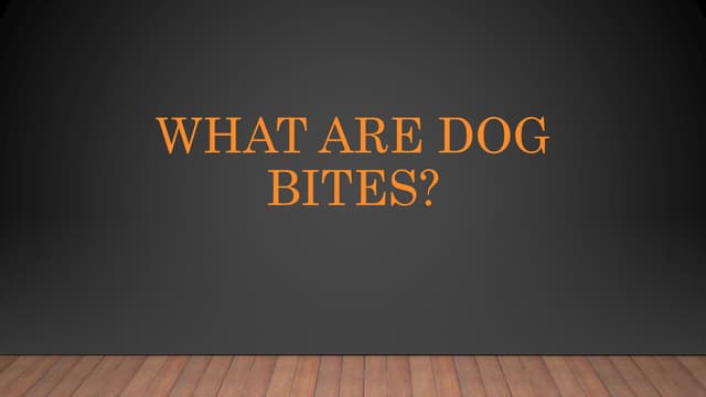 Animal Bites Causes Symptoms Treatment | PPTX