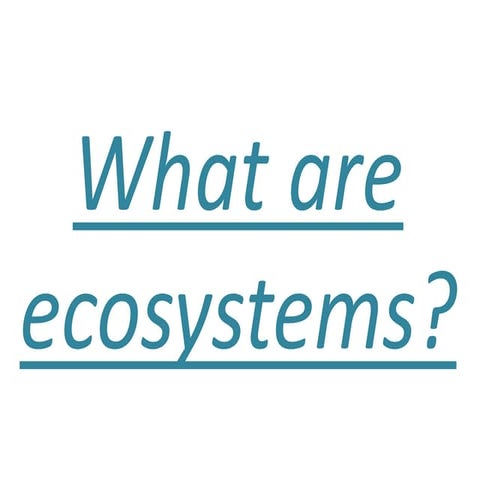 What are ecosystems | PPT
