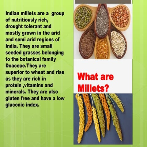 What are Millets. Indian millets are rich in nutrients | PPTX