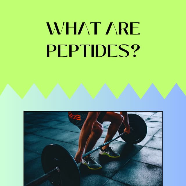 what are peptides.pdf