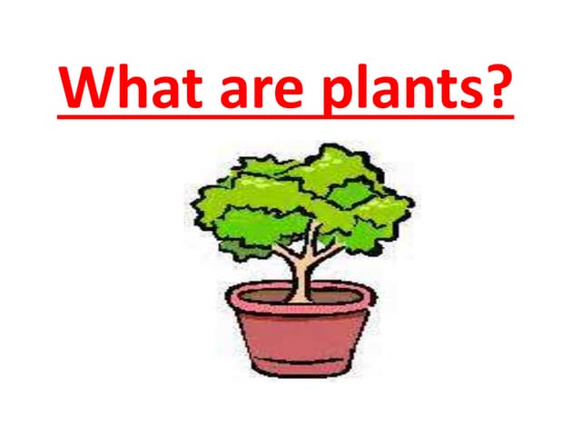 Plants 3rd grade | PPTX
