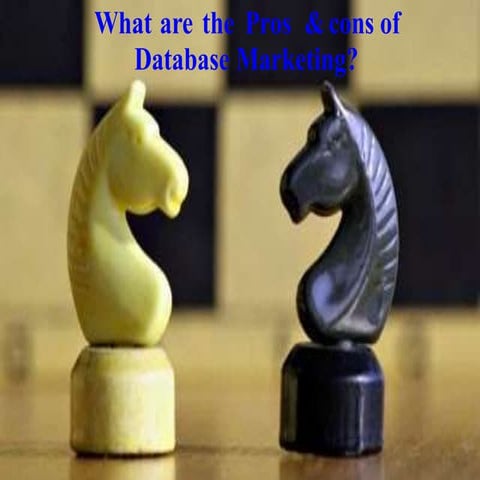 What are prros and cons of database marketing | PPTX