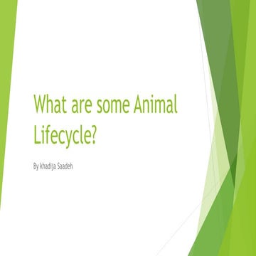 What are some animal life cycles? | PPTX