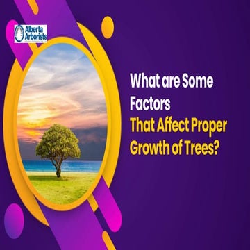 What are Some Factors That Affect Proper Growth of Trees | PPTX