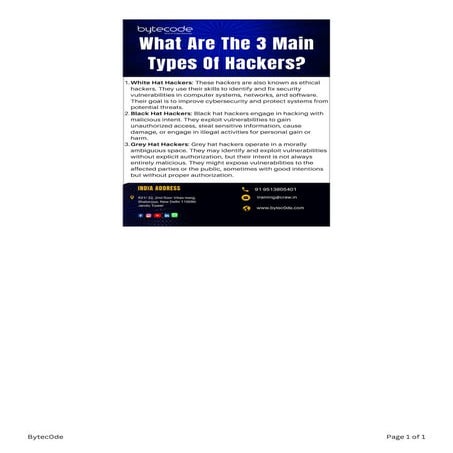 What Are The 3 Main Types Of Hackers Pdf