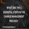 What Are The 5 Essential Steps In The Change Management Process.pdf