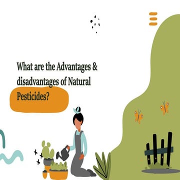 What are the Advantages & disadvantages of Natural Pesticides | PPTX
